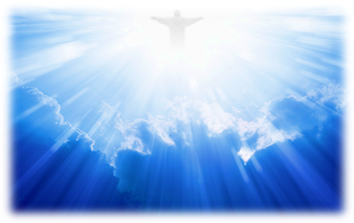 Download A La Pregunta - Angel Wings In Heaven | Transparent PNG ...