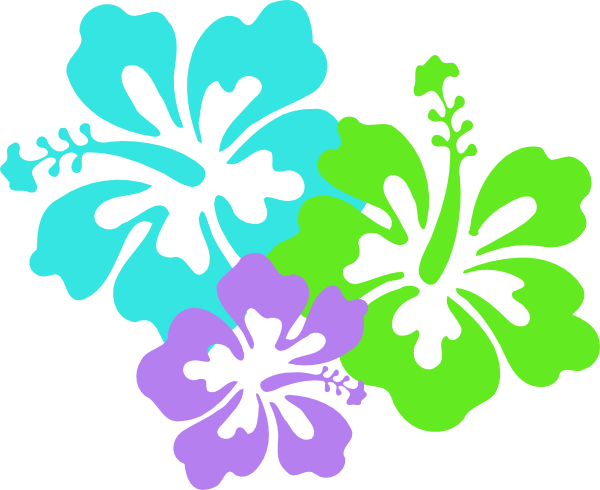 Download Hibiscus-hi - Hawaii Flower Png | Transparent PNG Download ...