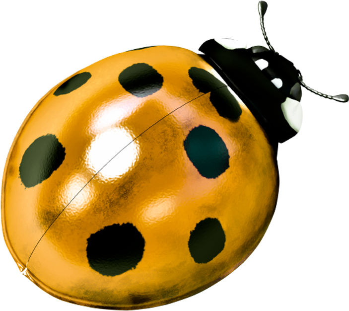 Ladybug Films - Ladybug With No Legs (1008x803), Png Download