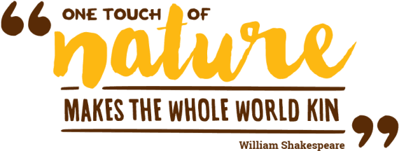 Download Quotes Onetouchofnature - Png Pics Of Quotes | Transparent PNG ...