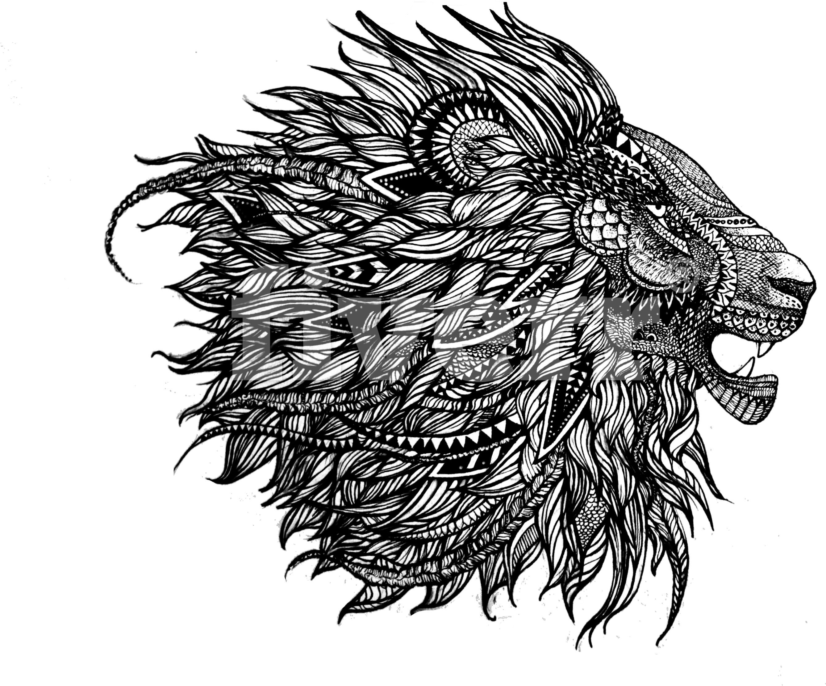 Sketch (3302x2325), Png Download