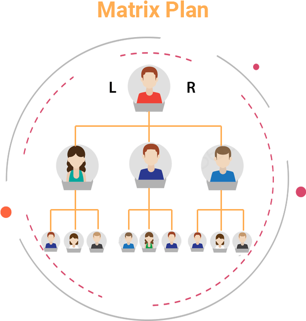 Matrix-tree - Multi-level Marketing (700x736), Png Download