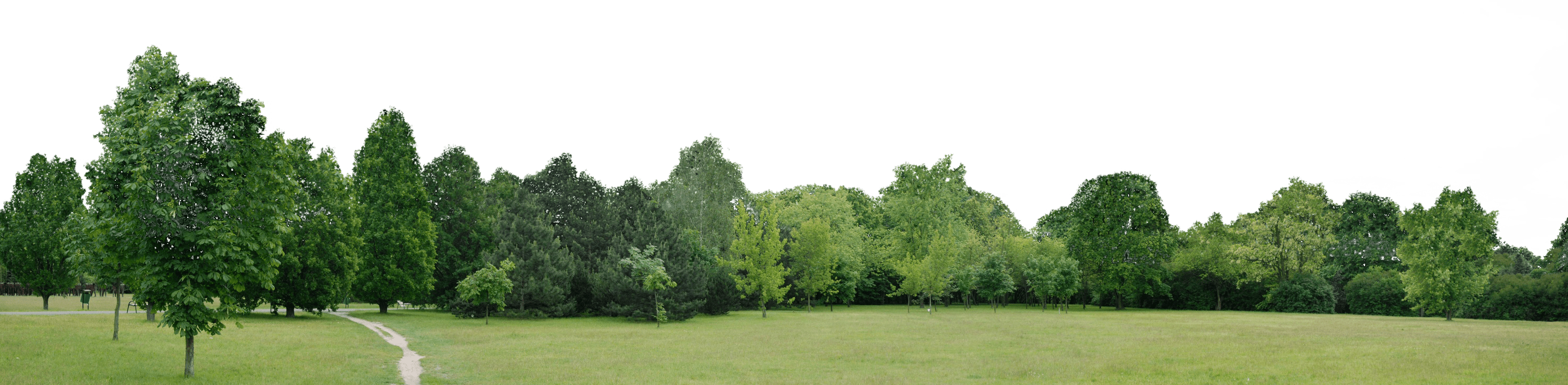 Download Tree Line Backgrounds | Transparent PNG Download | SeekPNG