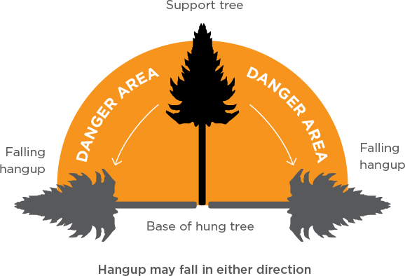 [image] Infographic Showing Support Tree And Danger - Felling Tree Safe ...