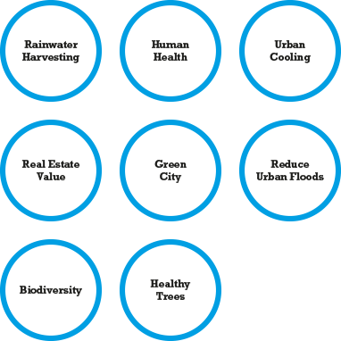 Landscaped-suds - Diagram (382x382), Png Download