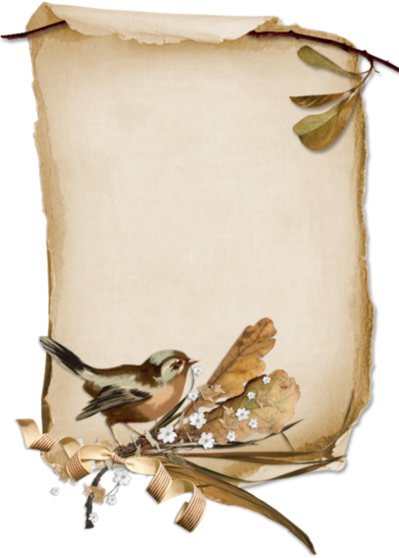 Parchemins - Papier À Lettre Parchemin (565x800), Png Download