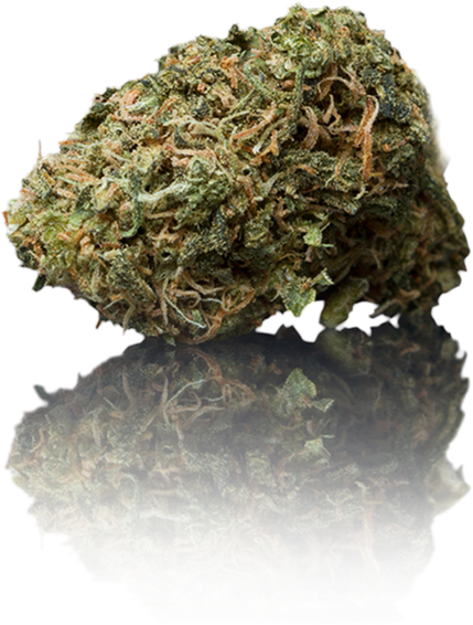 Download Weed Nug Png - Outcrop | Transparent PNG Download | SeekPNG