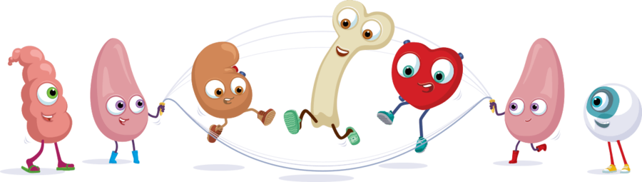 Cartoon Clipart Mammal Clip Art - Cartoon Healthy Transparent (900x255 ...