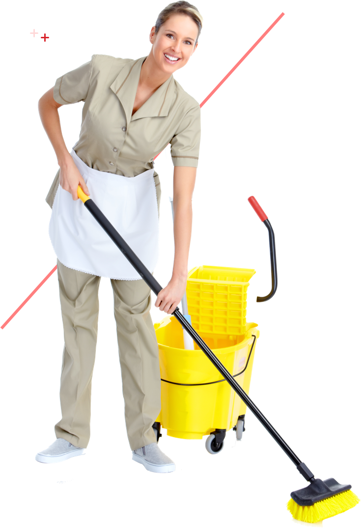 Cleaner (735x1075), Png Download