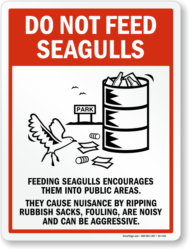 Do Not Feed Seagulls Sign - Dont Feed The Seagulls (608x800), Png Download