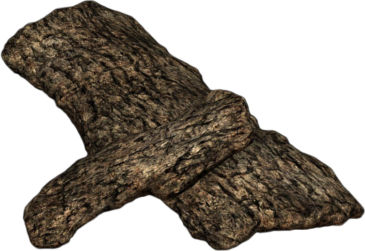 Download Bark Png | Transparent PNG Download | SeekPNG