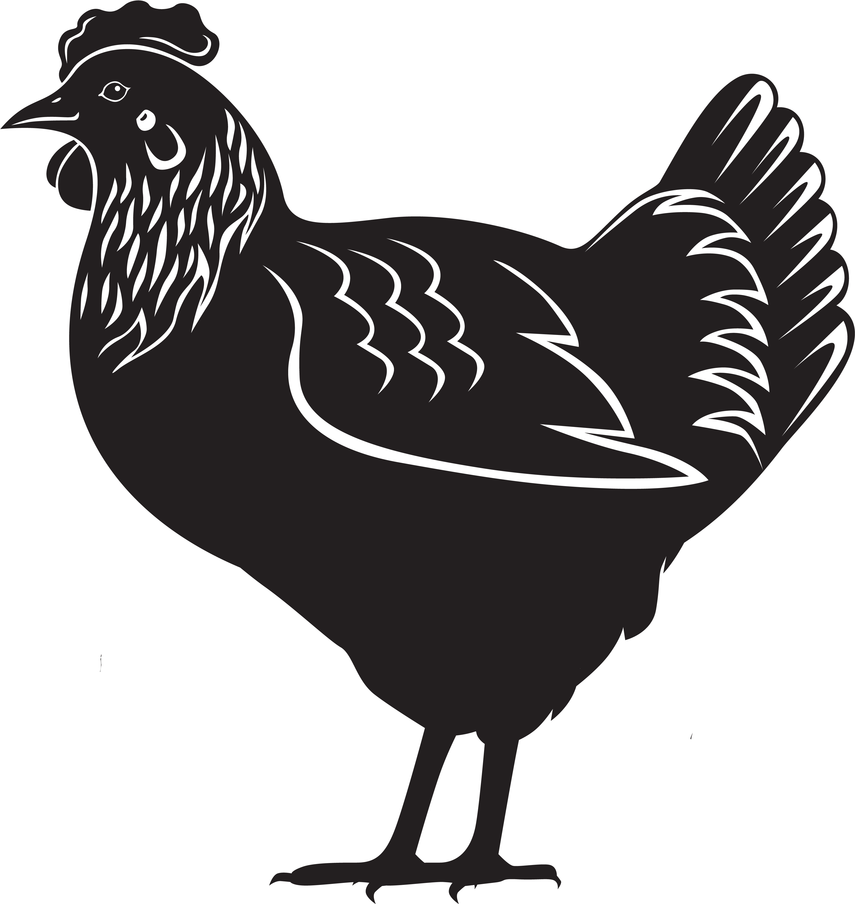 Master Hen - Laying Chicken Clip Art (3908x3736), Png Download