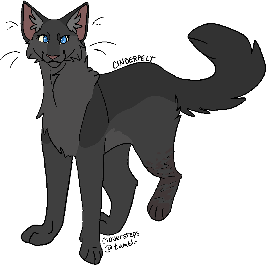 Download Transparent Tumblr Cat Eyes Png Transparent Tumblr - Cat Yawns ...