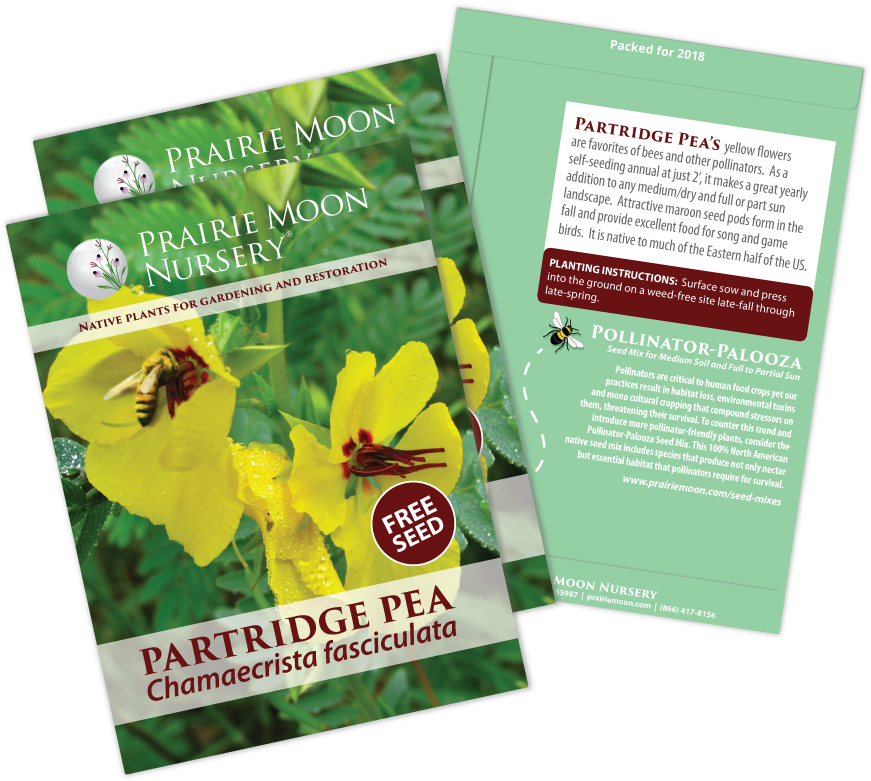 Free Partridge Pea Seed Packet - Partridge Pea (1020x1020), Png Download