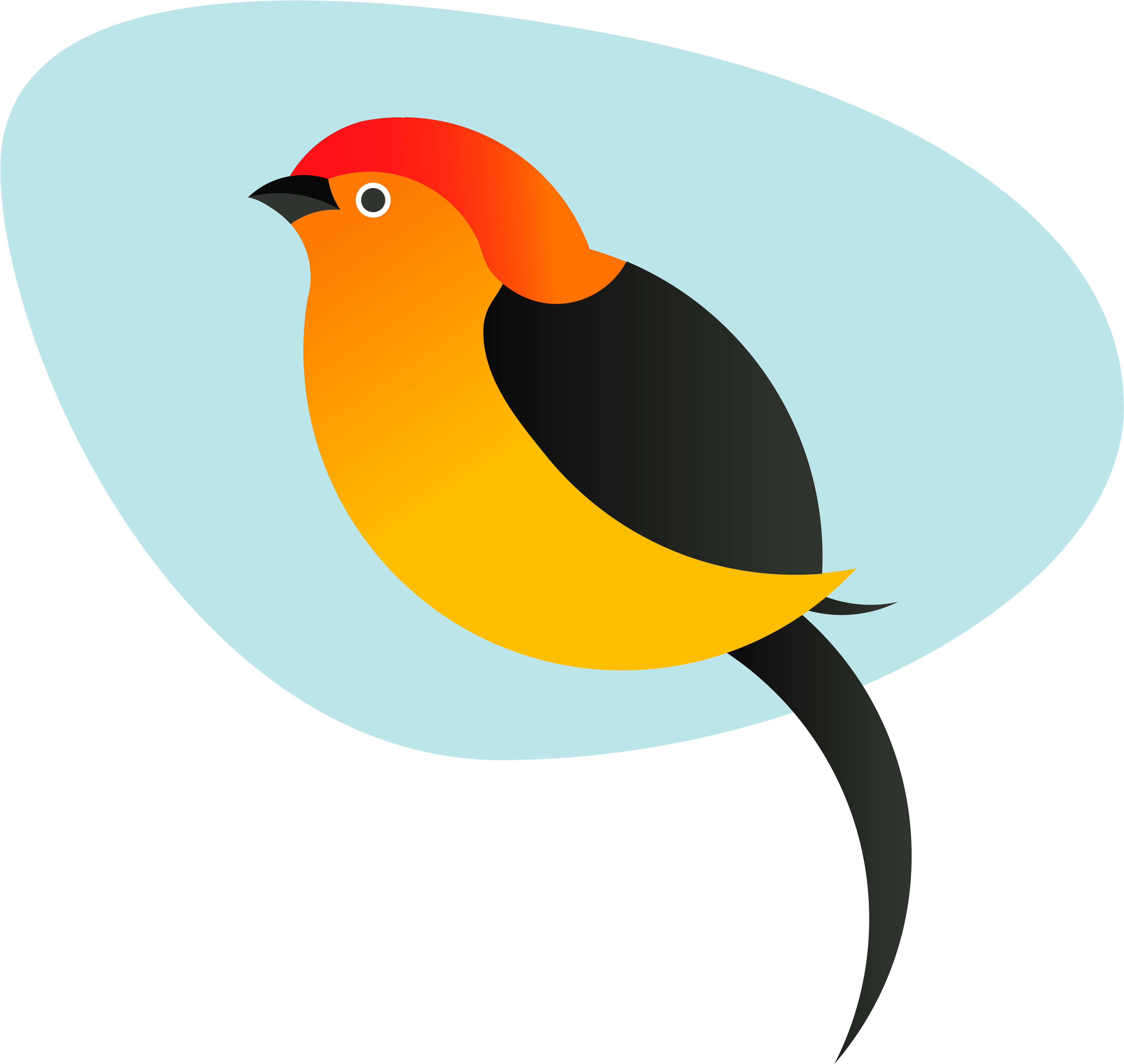 Pipra Is A Boutique Indian Company On A Mission To - European Robin ...