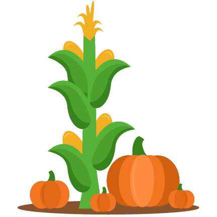 Download Elegant Corn Stalk Clip Art Cornstalk And Pumpkins - Corn ...