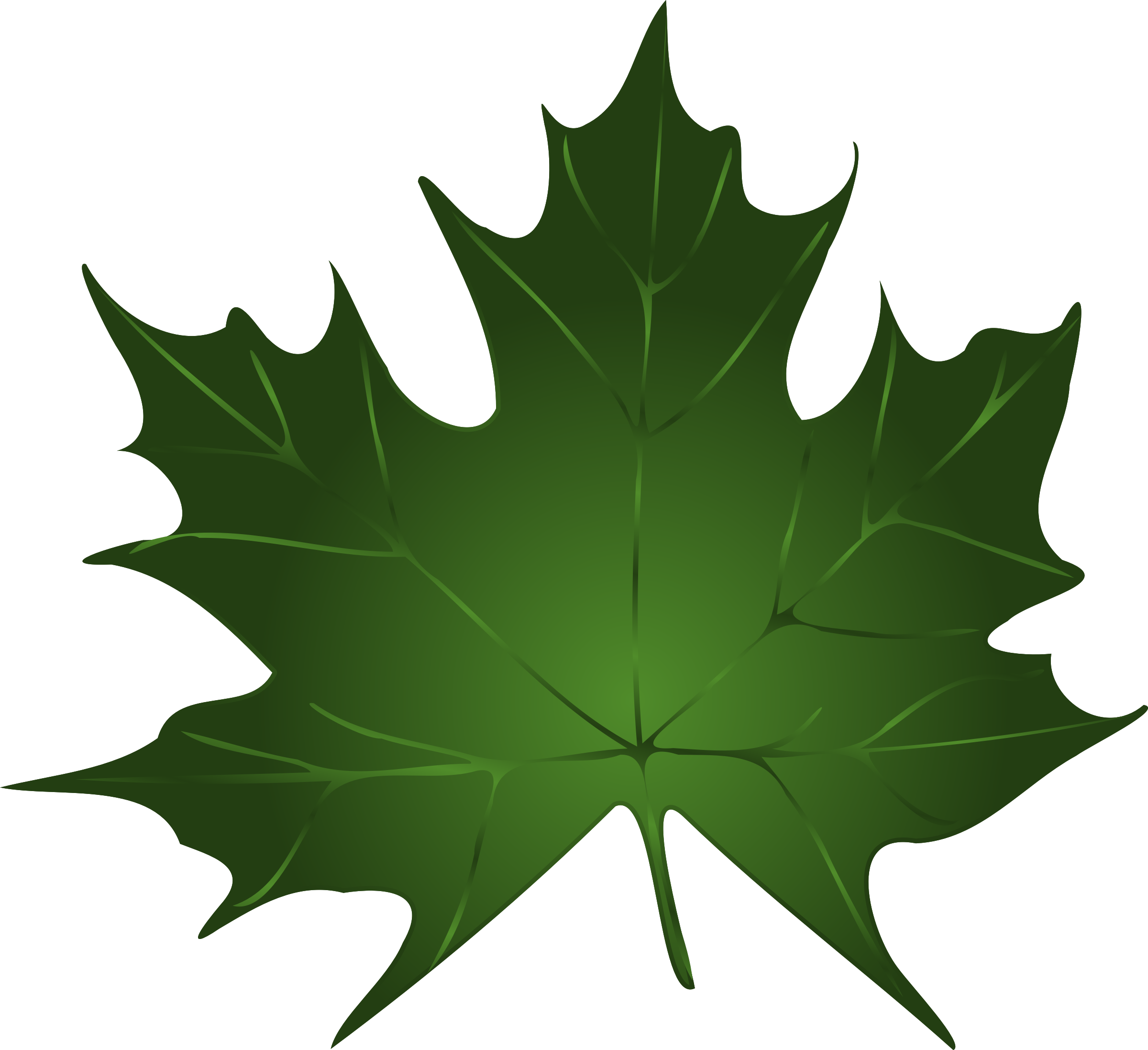This Free Icons Png Design Of Lapas, Maple Leaf (2400x2194), Png Download