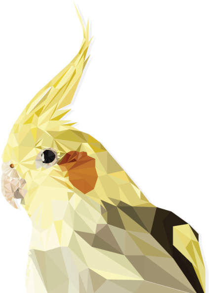 Cockatiel (1000x625), Png Download