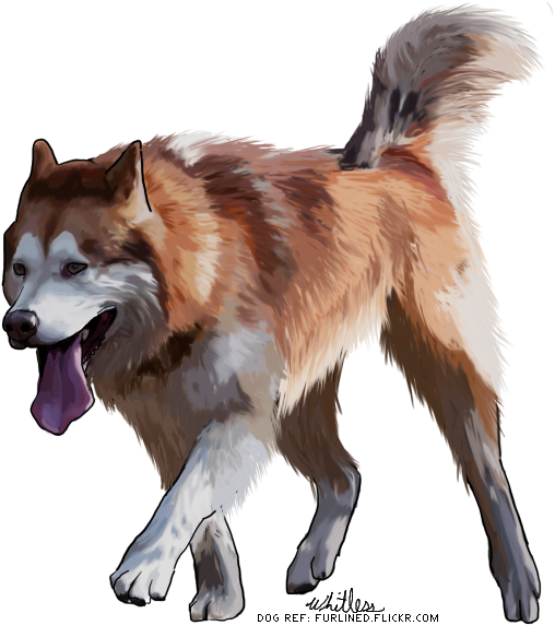 Husky Paw Print Clipart Graphic Black And White Download - Art Of Red ...