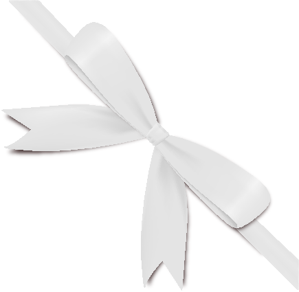 Ribbon White Icon2 - White Ribbon Bow Vector (435x425), Png Download