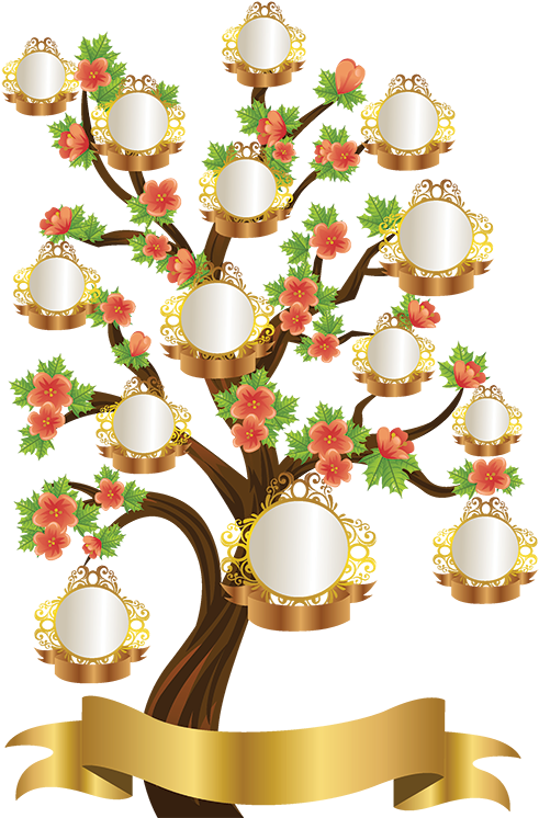 Download Best Family Tree Design | Transparent PNG Download | SeekPNG