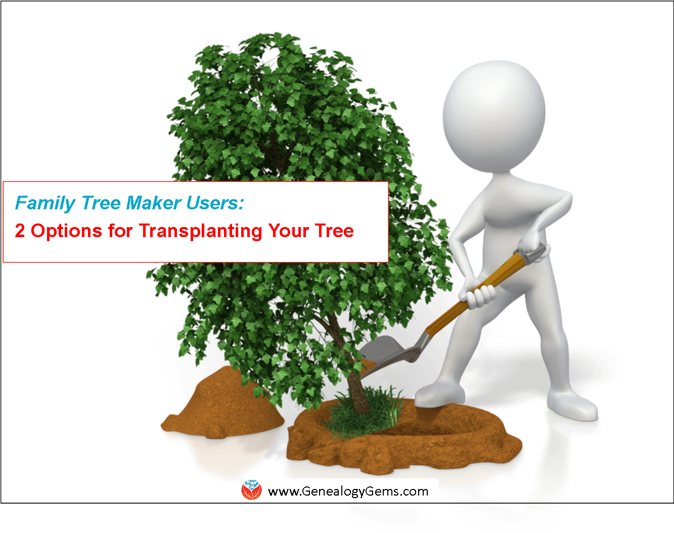 Ftmaker Options Transplant Tree Family Tree Maker Alternatives ...