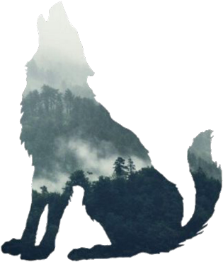 Stickers Wolf (480x480), Png Download