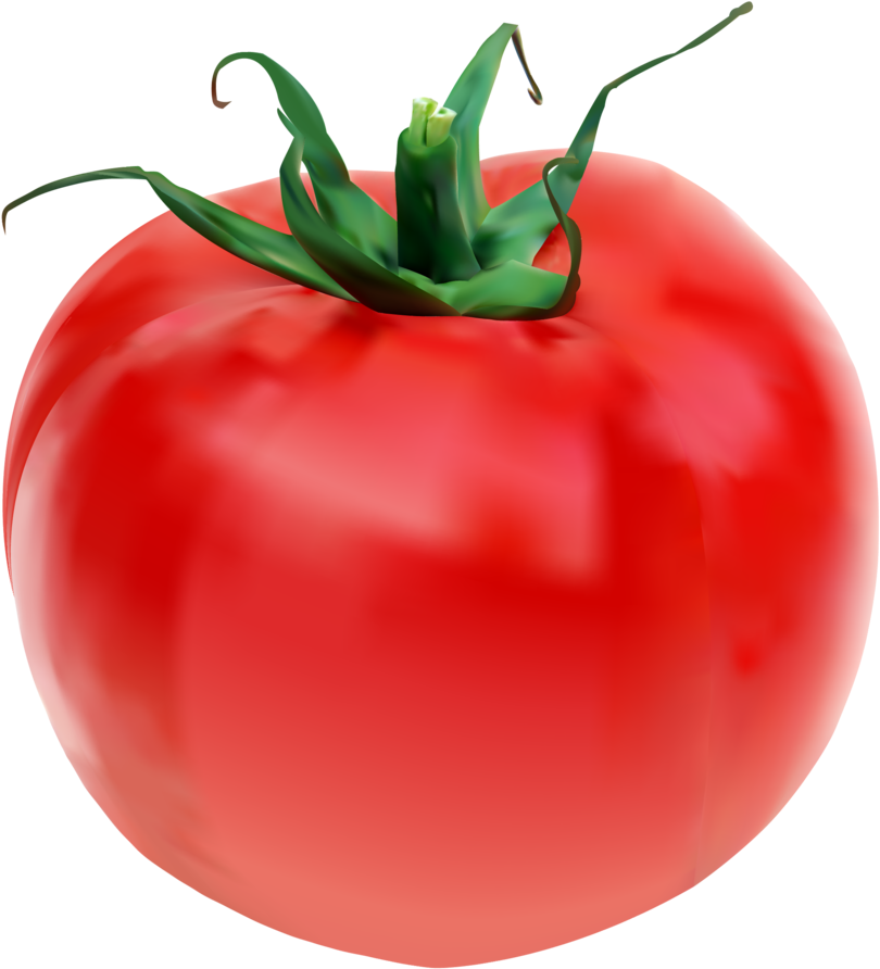 Grid Mesh Tomato - Tomato (1000x1294), Png Download