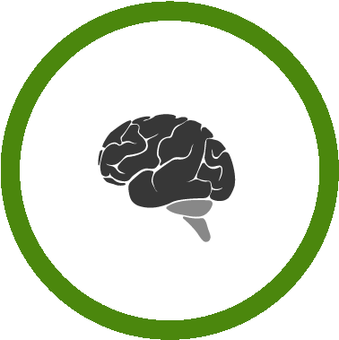 Brain Icon - Sloane Square (626x378), Png Download