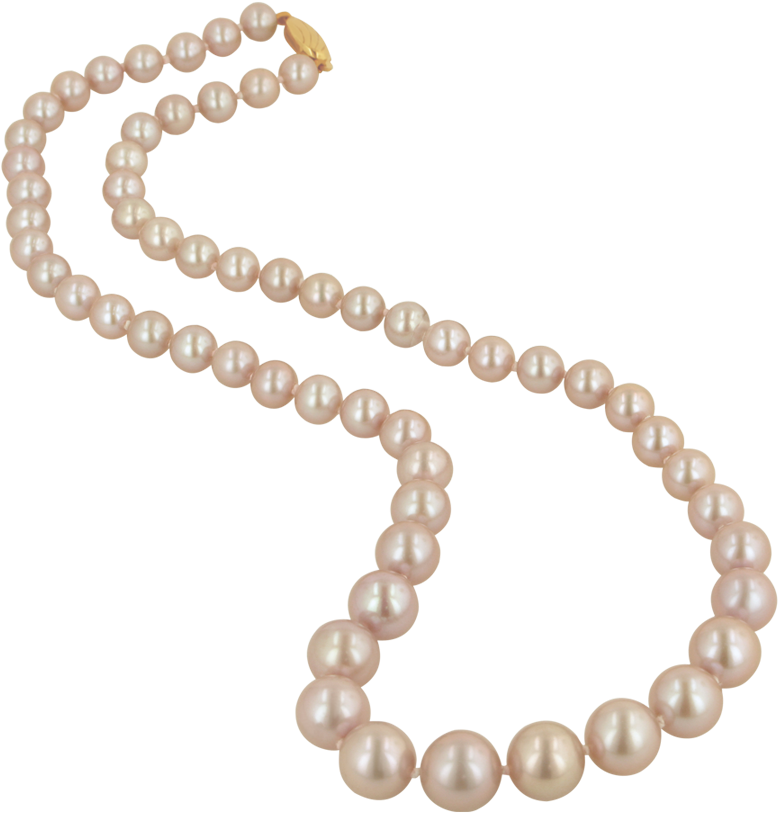 Jewelry Clipart Transparent Background - Pearl Necklace Png (900x900 ...