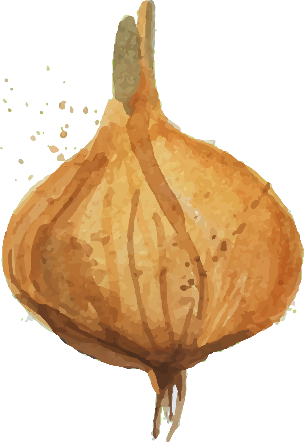 Library Onion Vector Draw - Drawing (2000x2000), Png Download