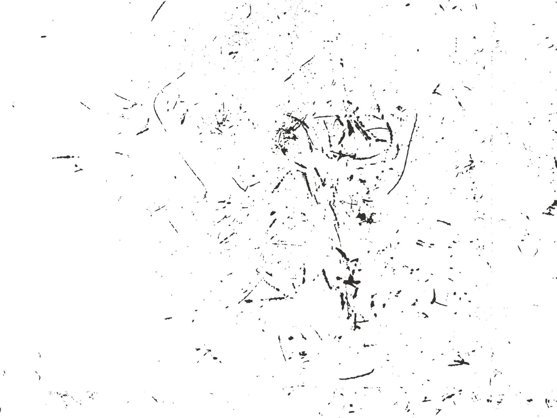 Scratches Png High-quality Image - Line Art (1890x1419), Png Download