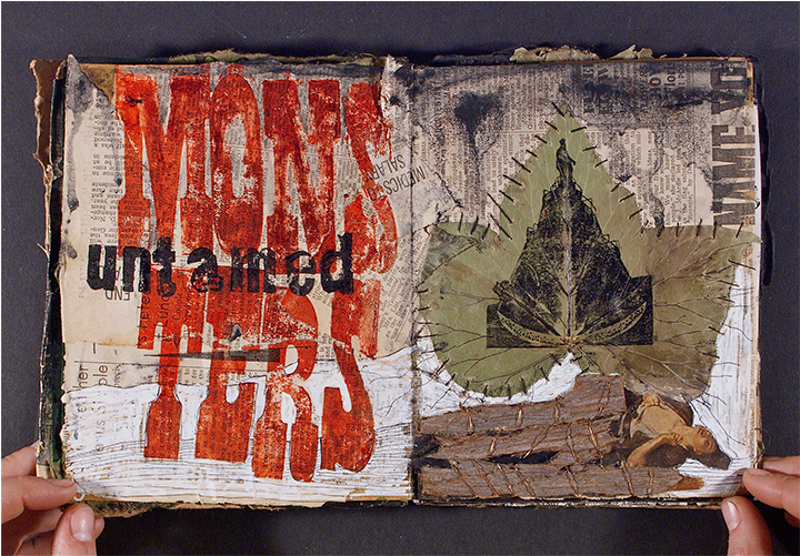 Untamed-monsters - Portable Network Graphics (1000x700), Png Download