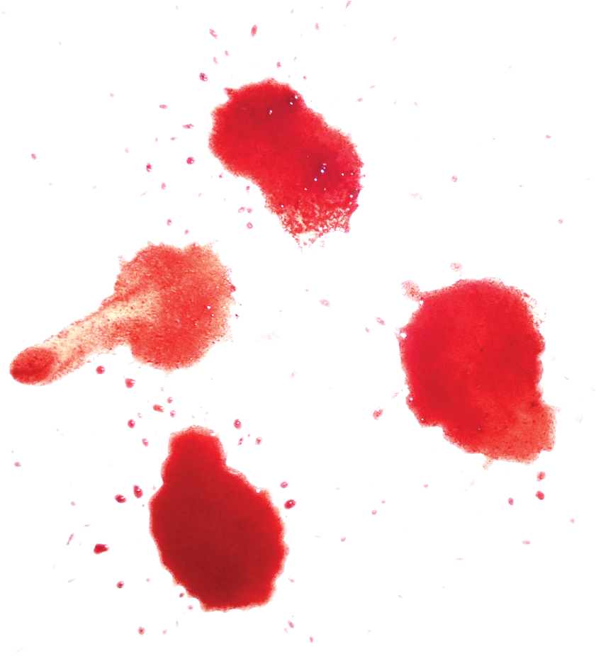Blood Png Images - Blood (849x942), Png Download