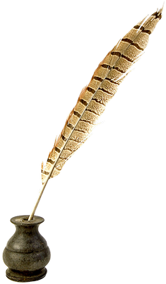 Download Png 1450*2192 Px Size - Writing Feather | Transparent PNG ...