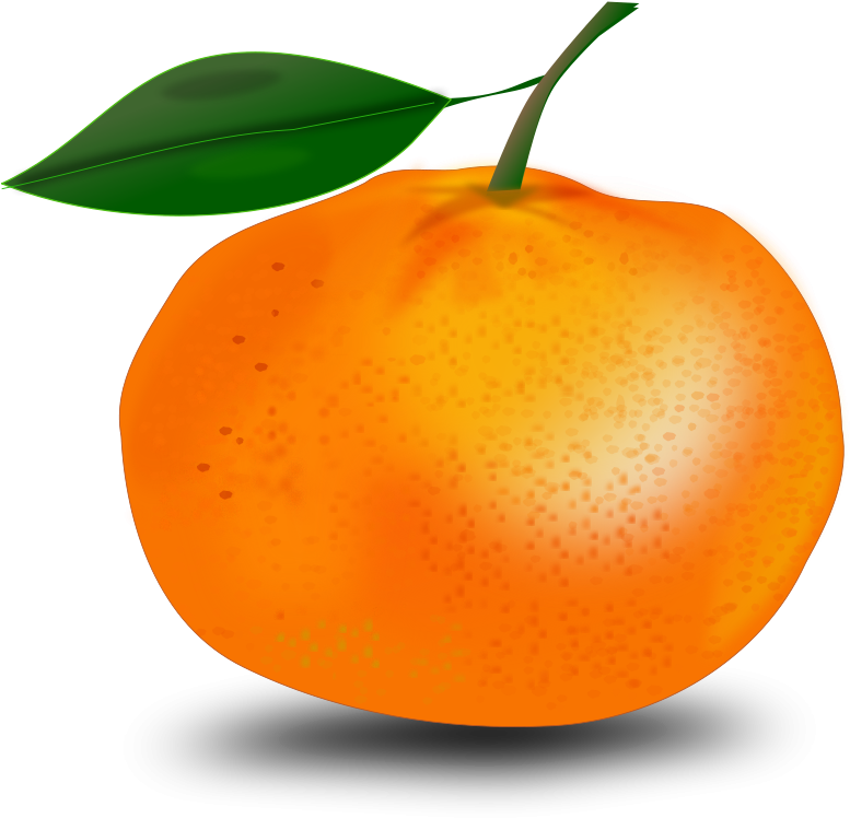 Collection Of Free Orange Transparent - Orange Vector No Background ...