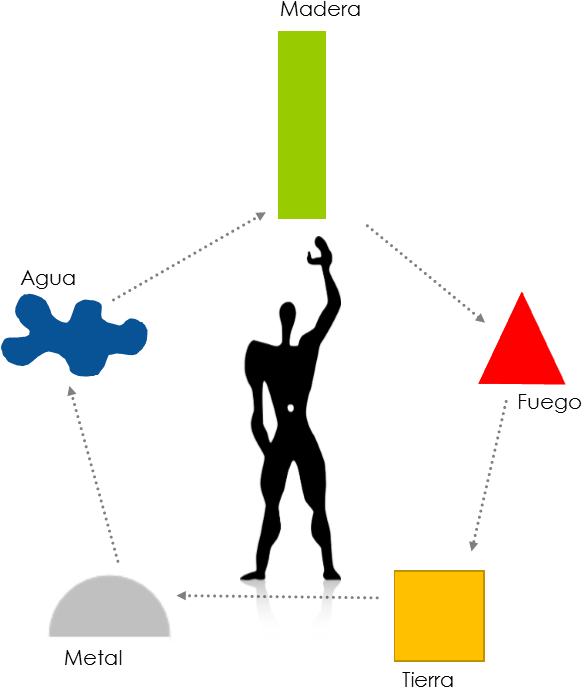 Download Modulor - Le Corbusier Modulor Png | Transparent PNG Download ...