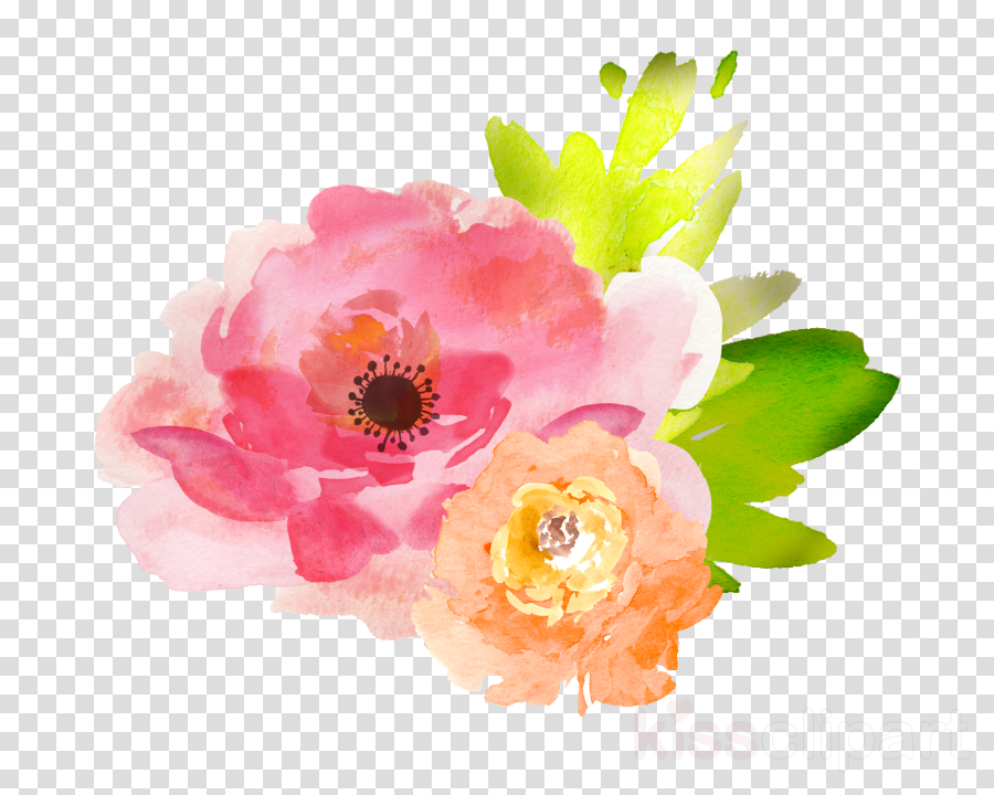 Watercolor Flower Transpa Clipart Watercolour Flowers - Water Paint ...