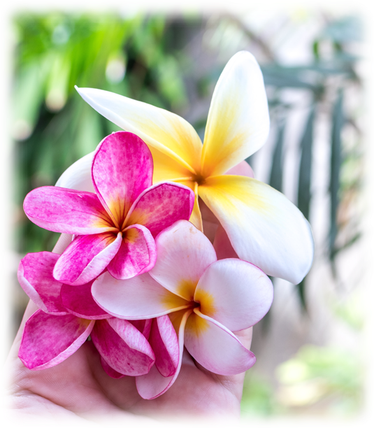 Pamper Yourself - Spa (562x647), Png Download