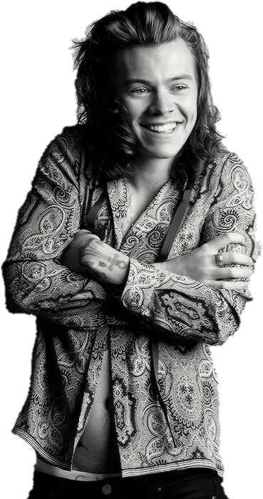 Harry Styles 2016 Hq (500x700), Png Download
