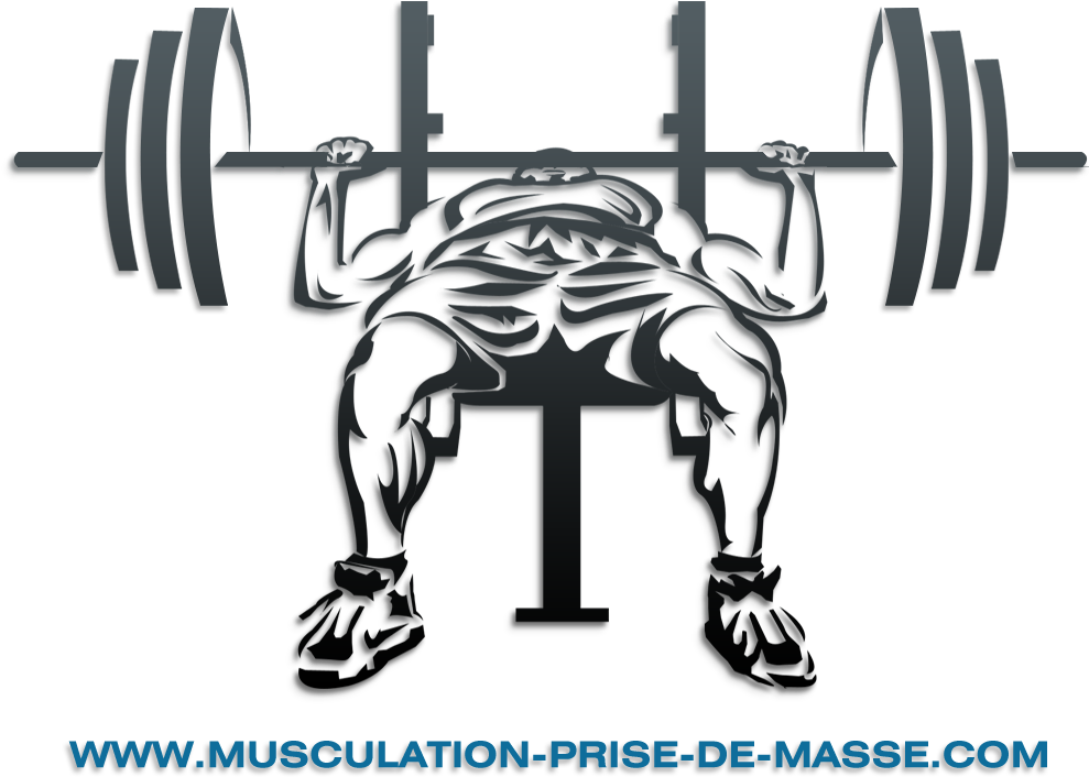 Download Bench Press Vector - Bench Press Logo Png | Transparent PNG ...