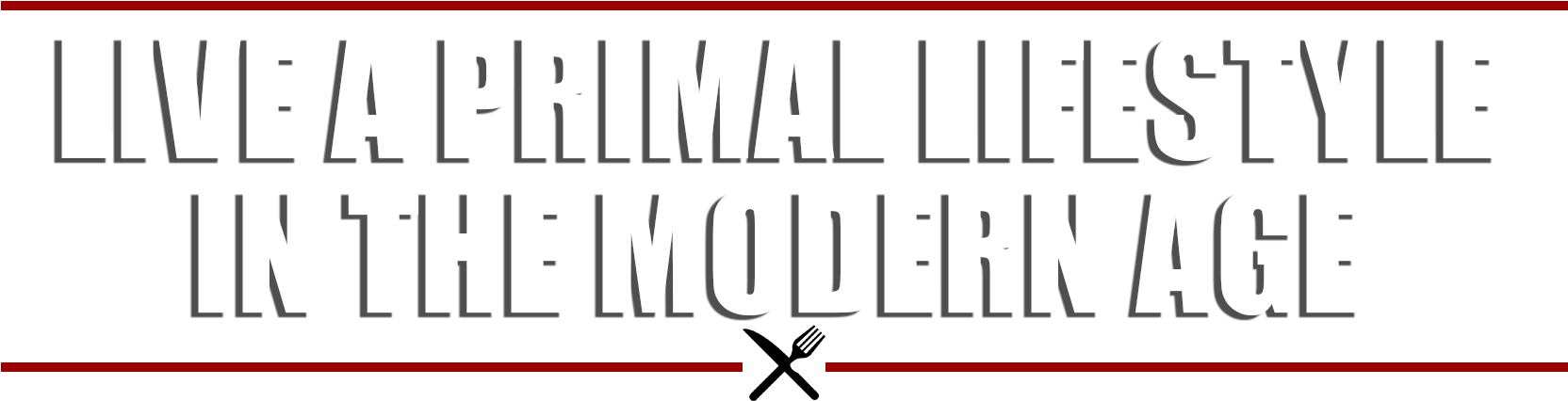 Download Calligraphy | Transparent PNG Download | SeekPNG