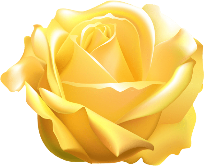 Download Free Png Yellow Rose Png Images Transparent | Transparent PNG ...