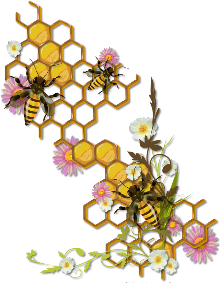 Bees🐝bears🐝honey - Bee And Honeycomb Clipart (814x1024), Png Download