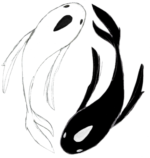 Drawing Avatars Koi Fish - Sketch (495x522), Png Download