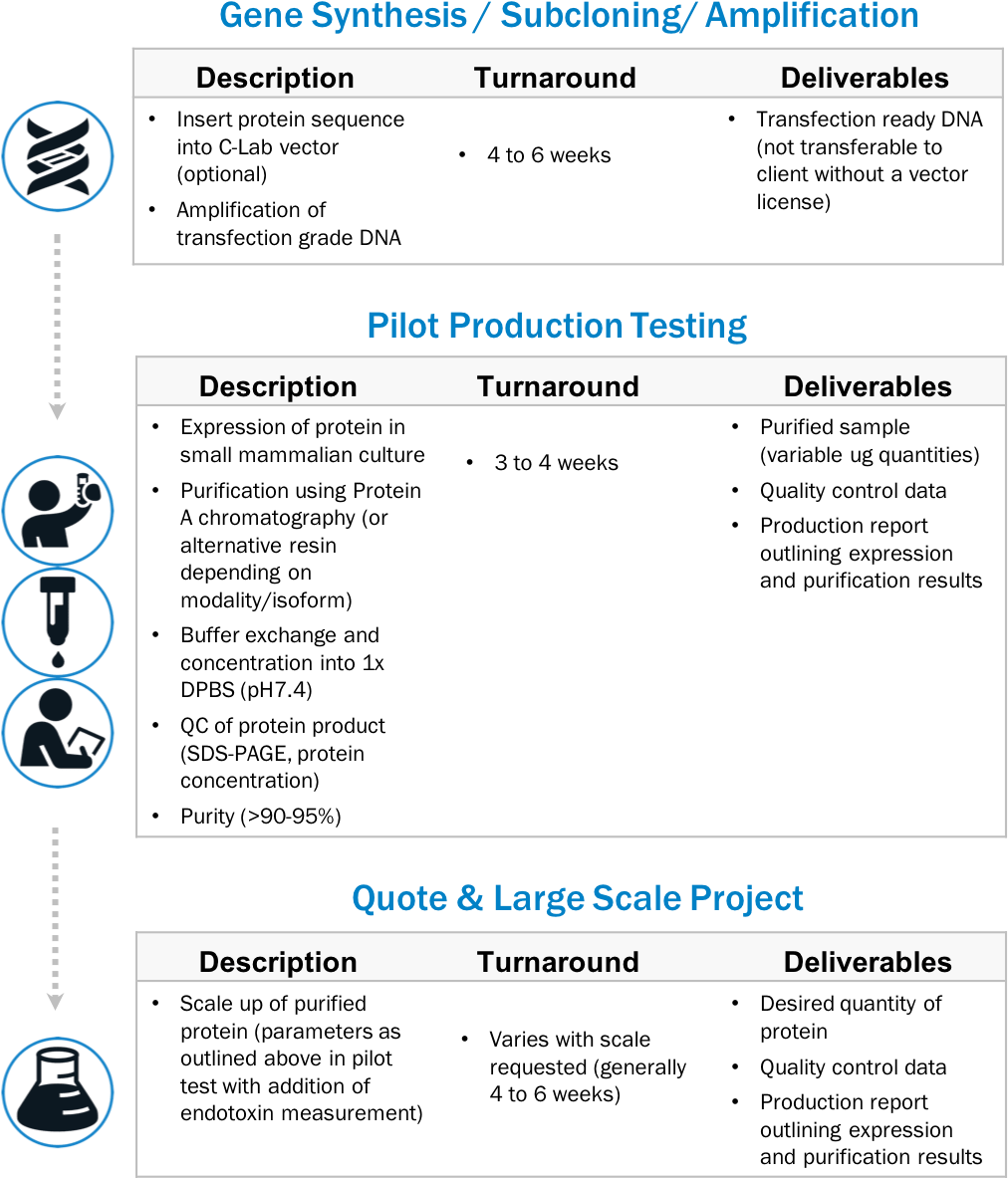Table Showing Antibody Production Process (1012x1208), Png Download