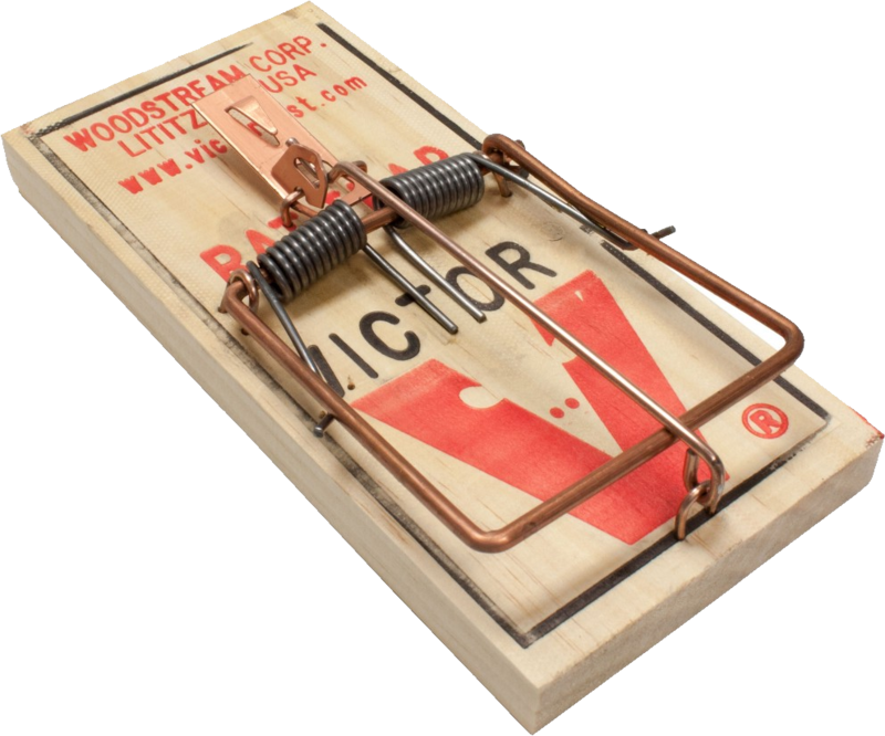 Download Mouse Trap Png, Download Png Image With Transparent - Rat ...
