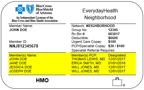 Download Image Of Blue Cross Blue Shield Id Card - Components Of The ...
