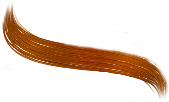 Download Hairdrawing-1 - Wire | Transparent PNG Download | SeekPNG