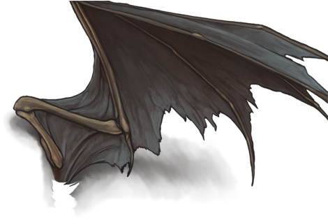 Bone Wings Png (640x500), Png Download